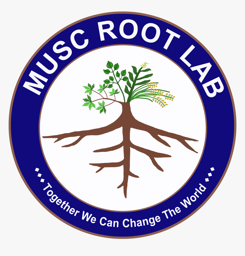 Root Lab Thailand - Emblem, HD Png Download , Transparent Png Image ...