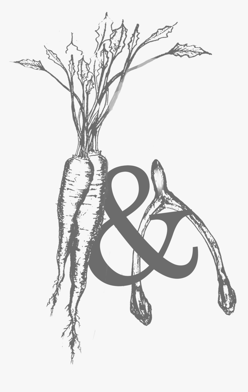Root And Bone Logo, HD Png Download , Transparent Png Image - PNGitem