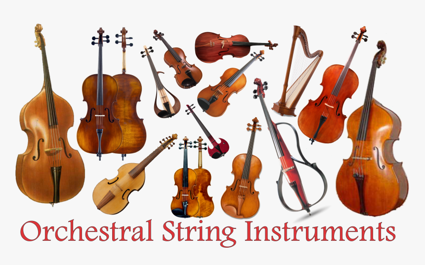 Violin, HD Png Download , Transparent Png Image - PNGitem