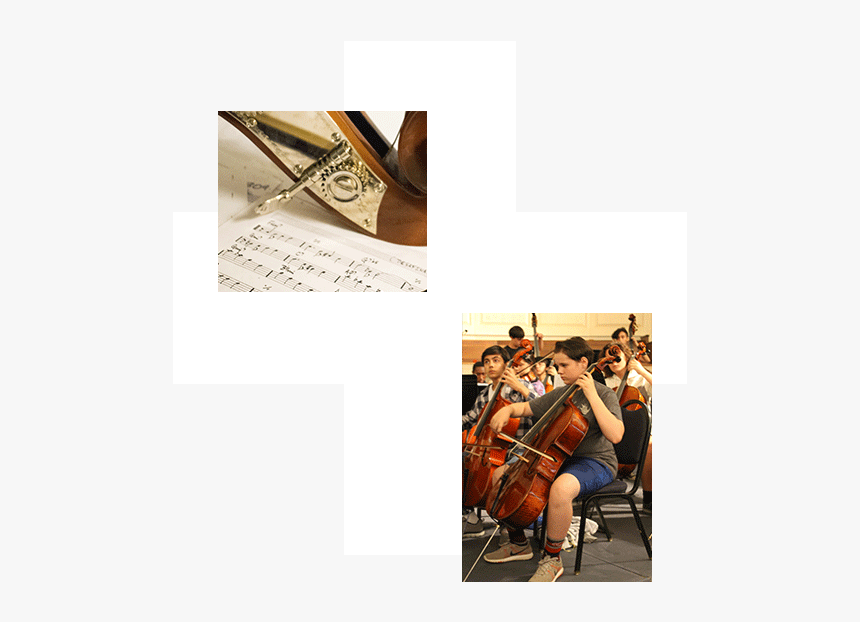 Orchestra, HD Png Download , Transparent Png Image - PNGitem