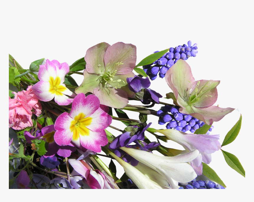 Flower Bunch Mixed Free Photo - Flower, HD Png Download , Transparent ...