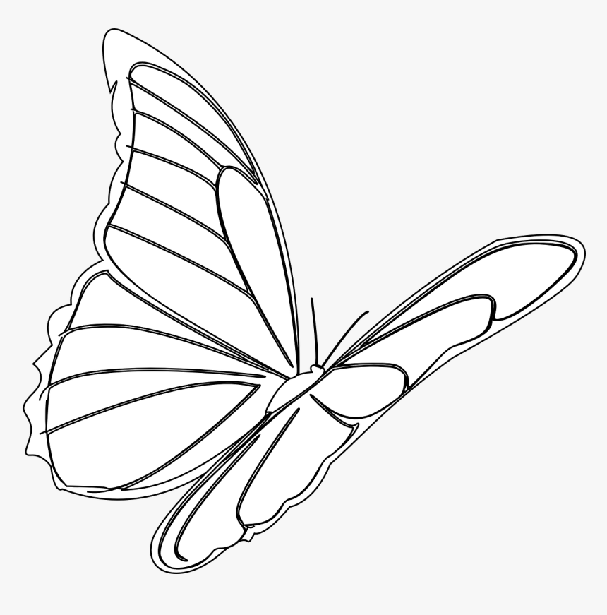 Butterfly, Flying, Insect, Monarch, Bug, Outline - Hinh Anh Con Buom ...