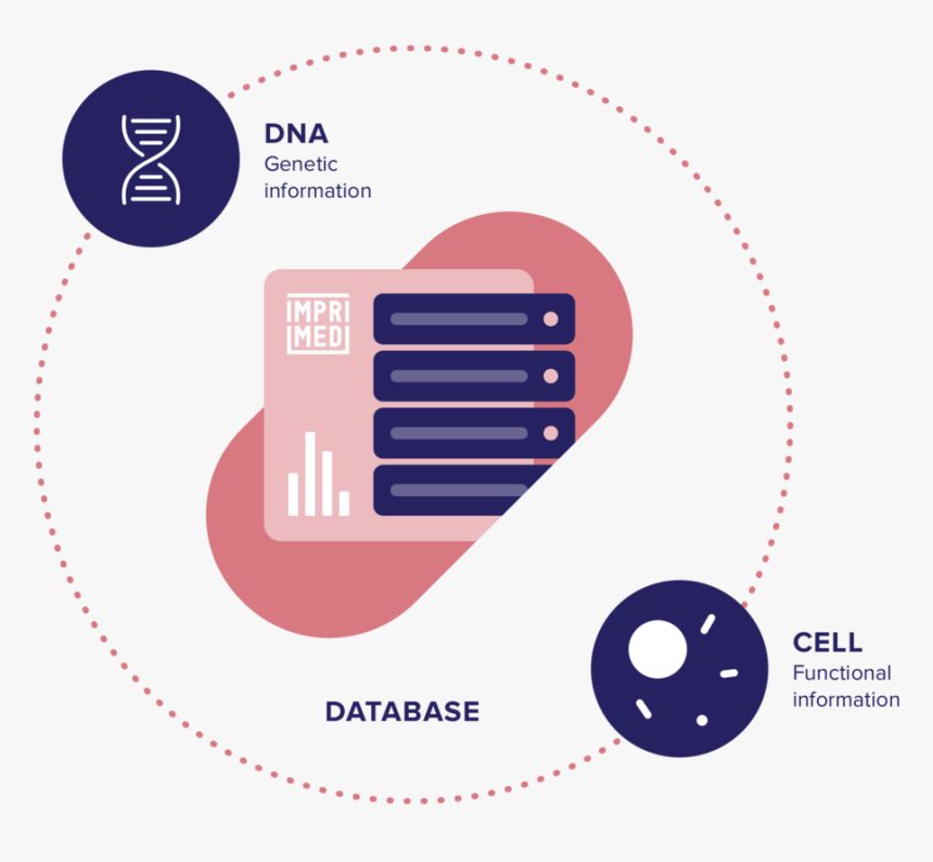 Database - Graphic Design, HD Png Download , Transparent Png Image ...