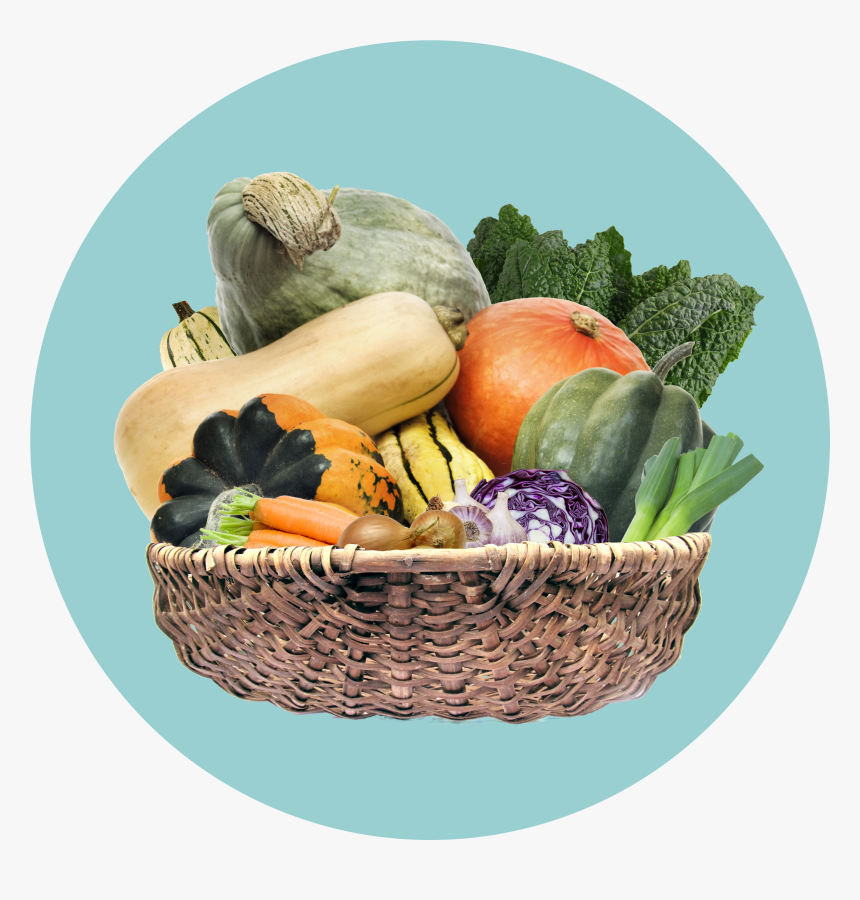 Summer And Winter Squash, HD Png Download , Transparent Png Image - PNGitem