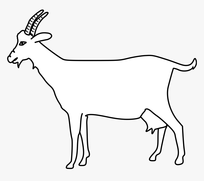 Goat Drawing Outline