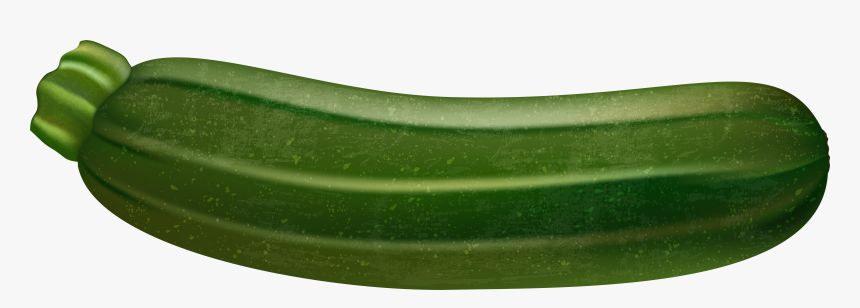 Upo Vegetable Clipart