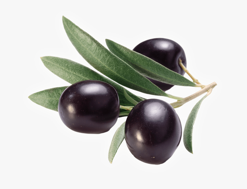Jamun Fruit Png