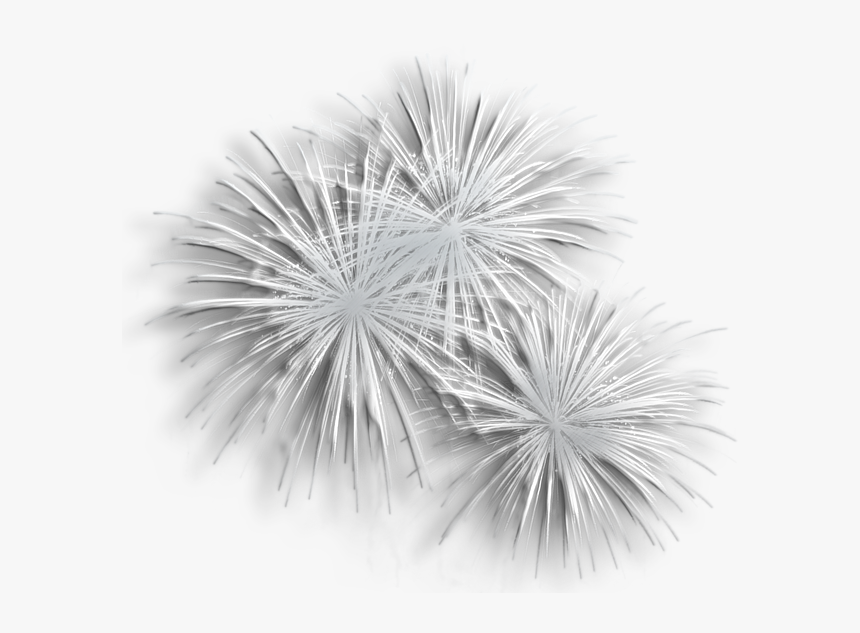 Fireworks White Background Transparent