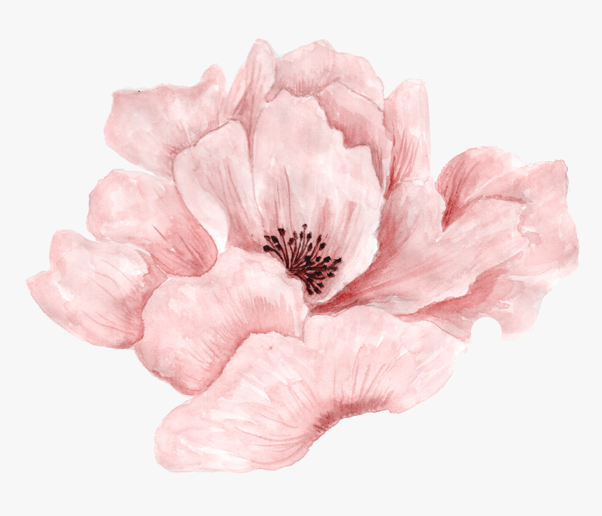 Transparent Watercolor Pink Flowers, HD Png Download , Transparent Png ...