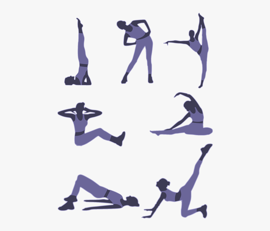 Fitness Exercises, HD Png Download , Transparent Png Image - PNGitem