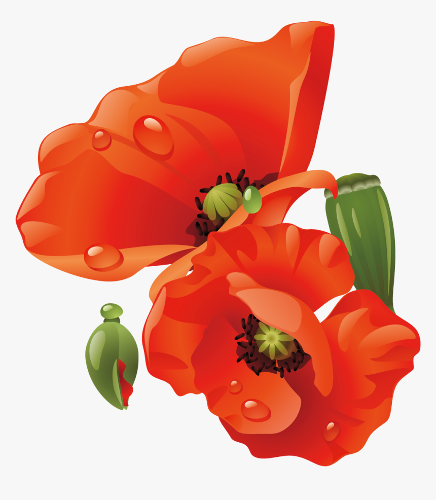 Paper Flowers Bouquet Transprent Png Free - Flower, Transparent Png ...