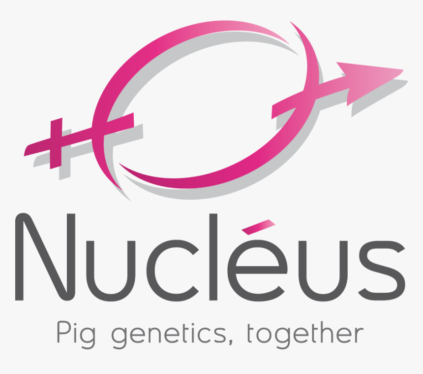 Nucleus, HD Png Download , Transparent Png Image - PNGitem