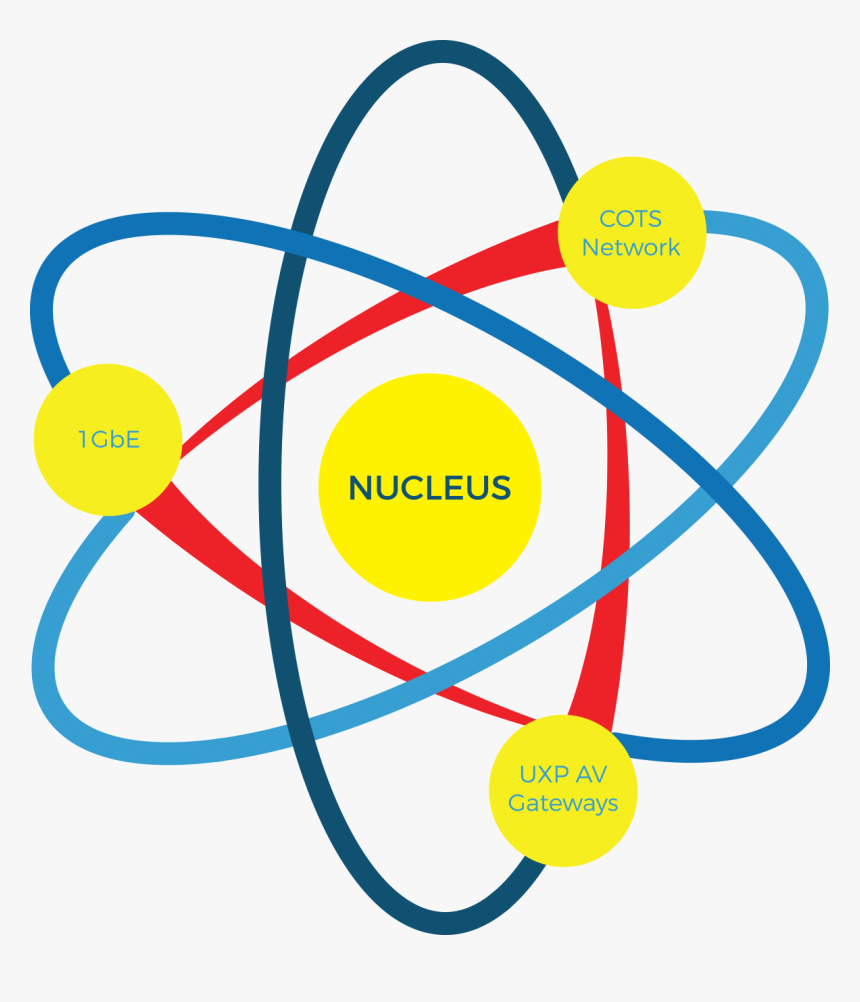 Atom Nucleus