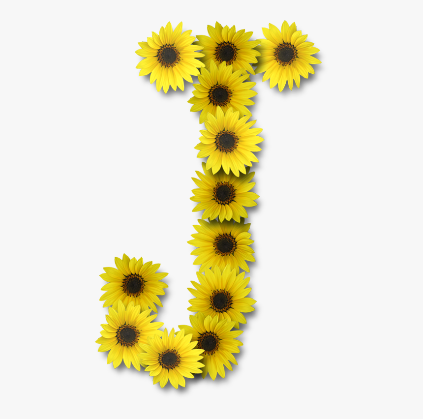 Sunflower Letter J, HD Png Download , Transparent Png Image - PNGitem