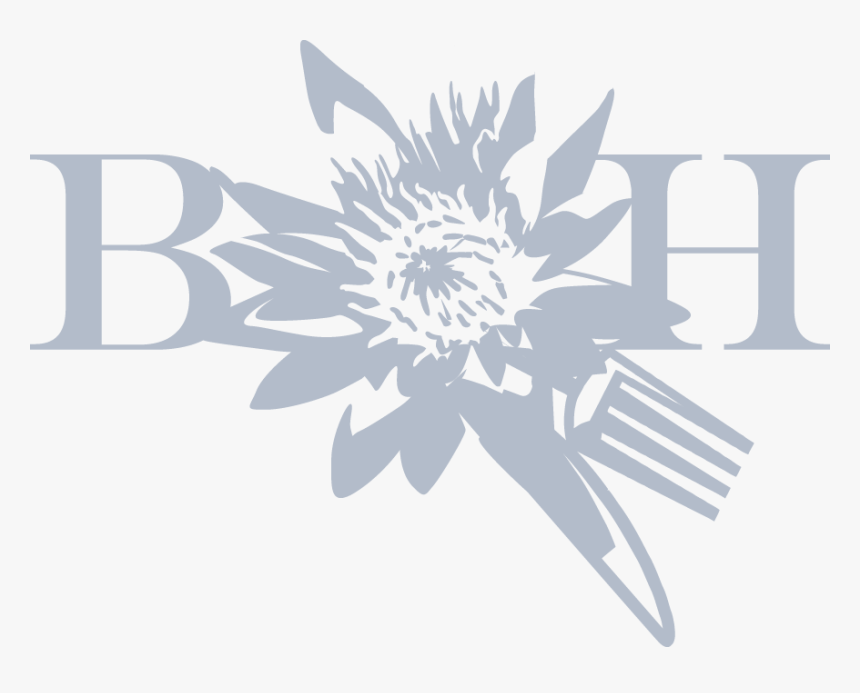 Berry Hill Abrev Logo Png - African Daisy, Transparent Png ...