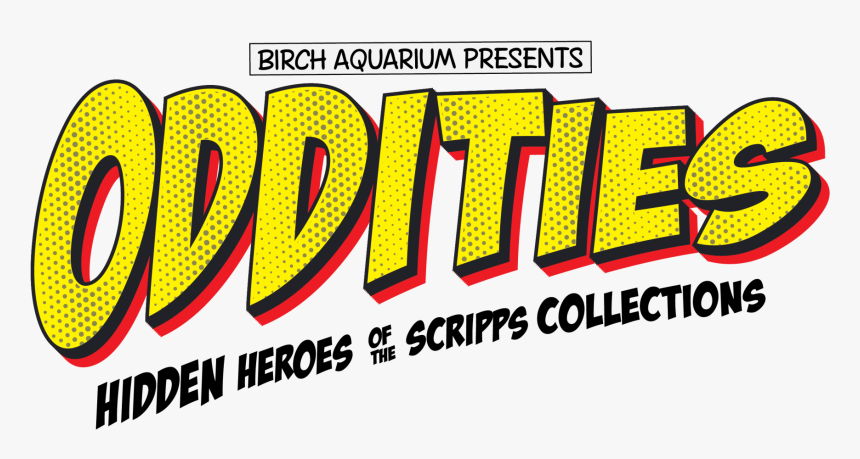 Oddities Logo Blacksubhead@2x - Illustration, HD Png Download ...