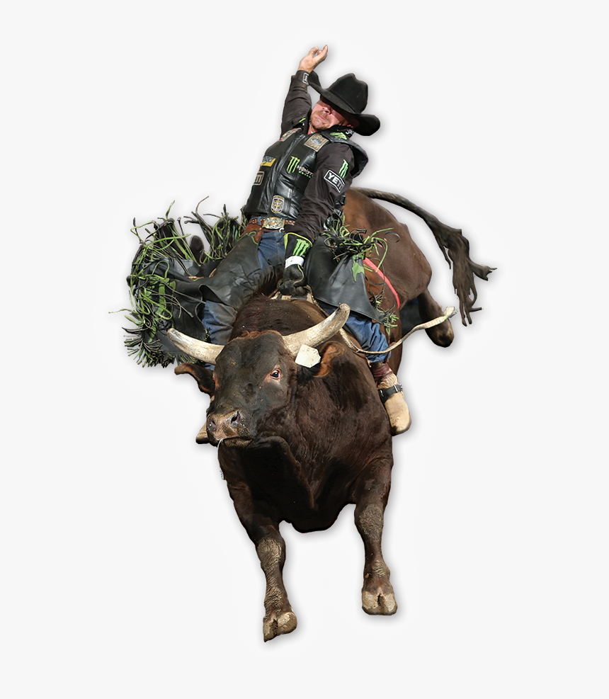 Drawing Cowboys Bull Riding - Bull Riding Png, Transparent Png ...