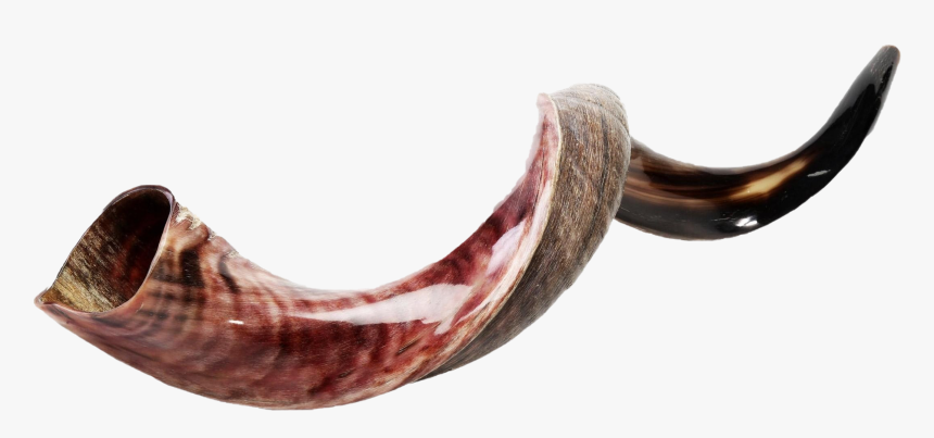 Shofar Png Photos - Shofar Imagenes, Transparent Png , Transparent Png ...