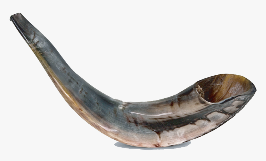 Shofar Png, Transparent Png , Transparent Png Image - PNGitem