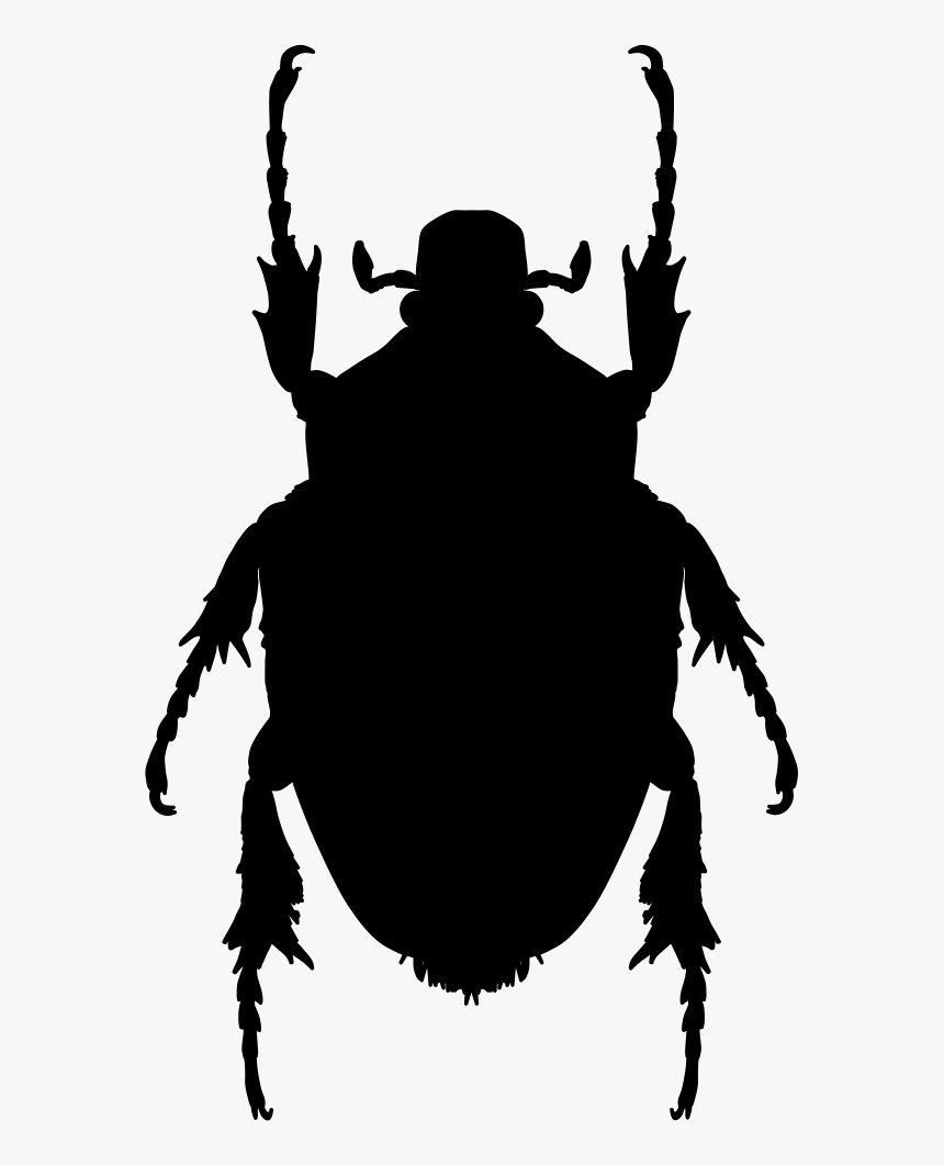 Transparent Beetle Clipart - Bug Shape, HD Png Download , Transparent ...