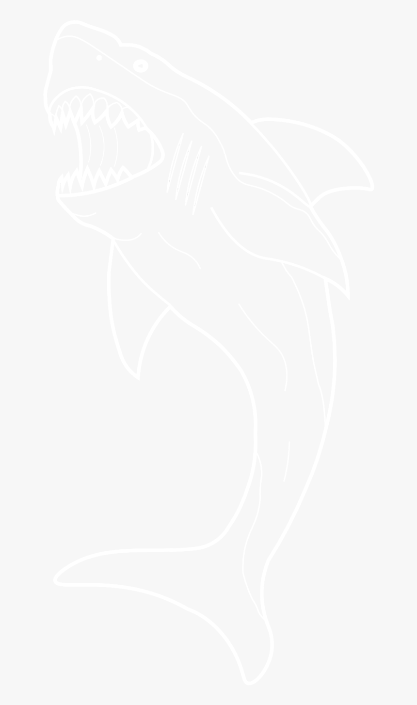 White Shark Png Left Face - Tableware, Transparent Png , Transparent ...