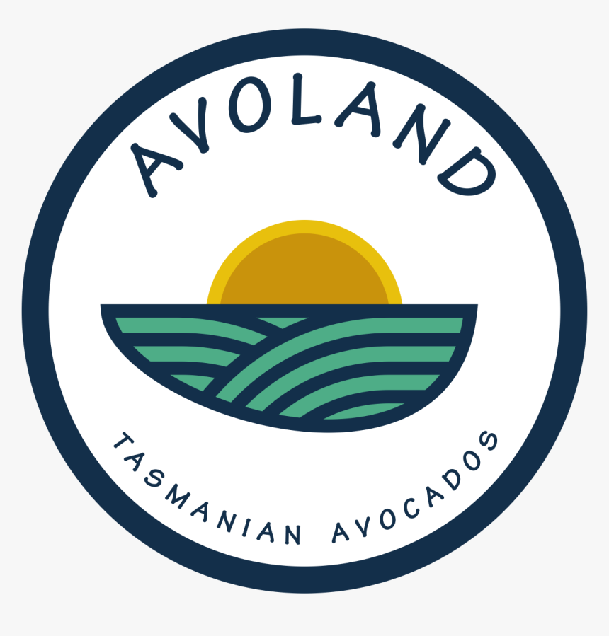 Avoland Avocados, HD Png Download , Transparent Png Image - PNGitem
