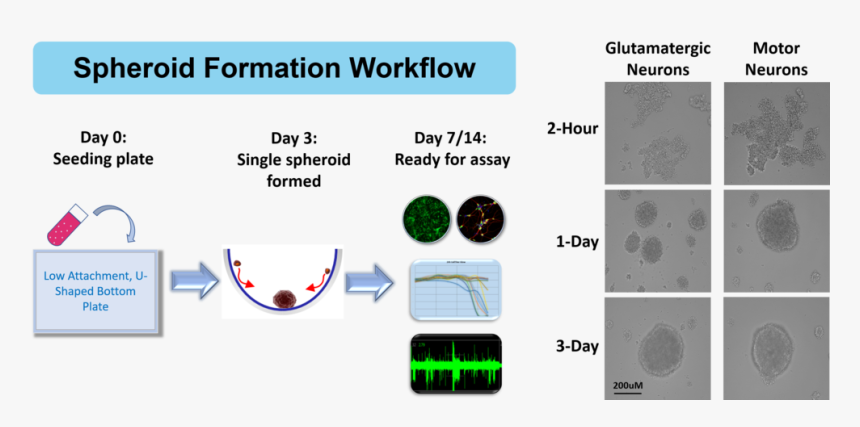 3d Example, HD Png Download , Transparent Png Image - PNGitem
