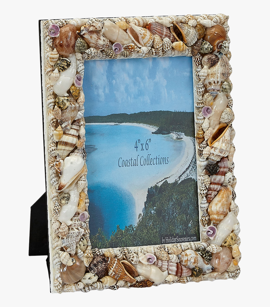Assorted Shells Photo Frame - Shell Frame, HD Png Download ...