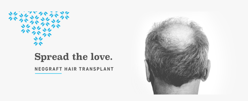 Human, HD Png Download , Transparent Png Image - PNGitem