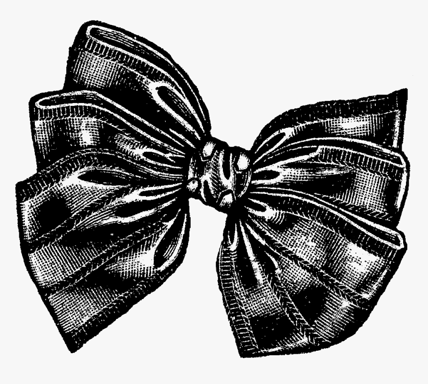 Bow Clipart Vintage - Vintage Bow Illustration, HD Png Download ...