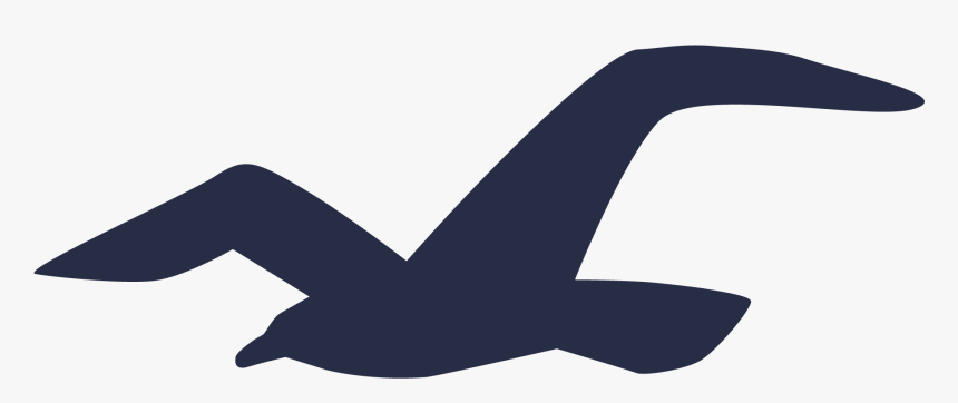 Hollister Logo Bird, HD Png Download , Transparent Png Image - PNGitem