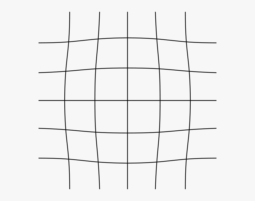 Perspective Distortion Grid Lens - Curvilinear Perspective Grid ...