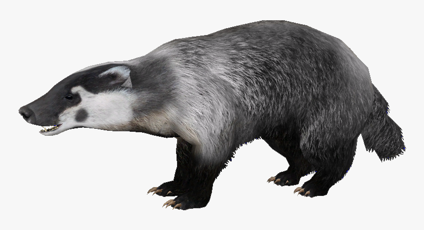 Badger Png, Transparent Png , Transparent Png Image - PNGitem