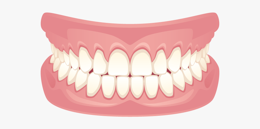 Teeth Image Hd, HD Png Download , Transparent Png Image - PNGitem