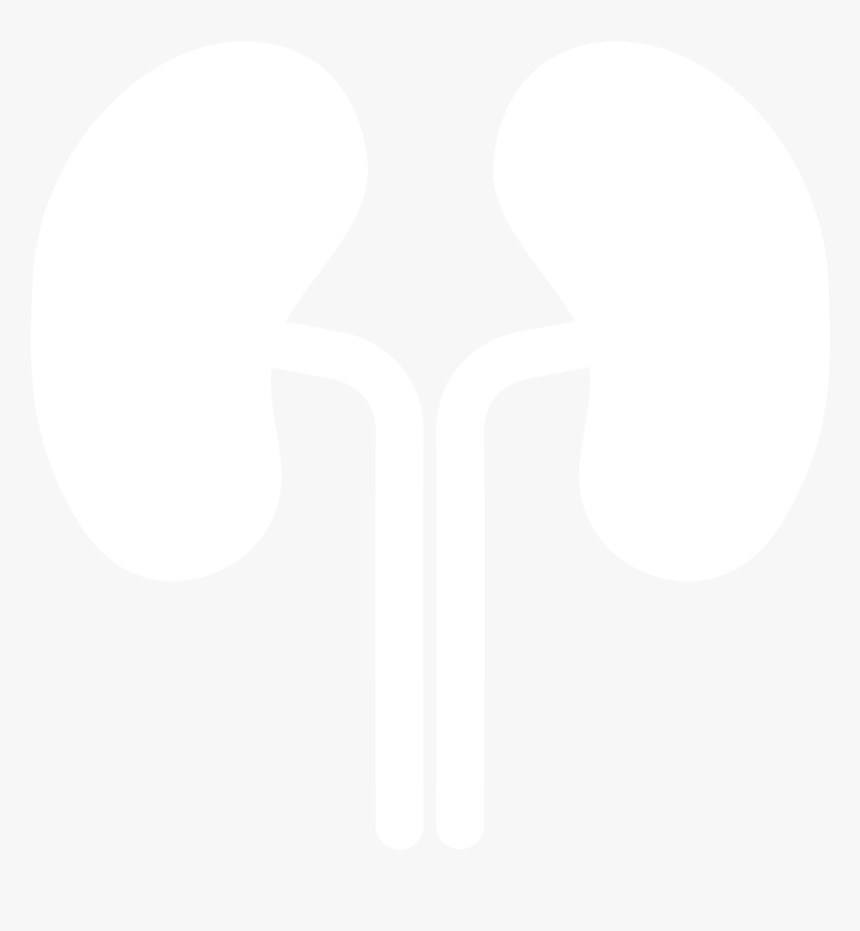 Kidney White Icon Png , Png Download, Transparent Png , Transparent Png ...