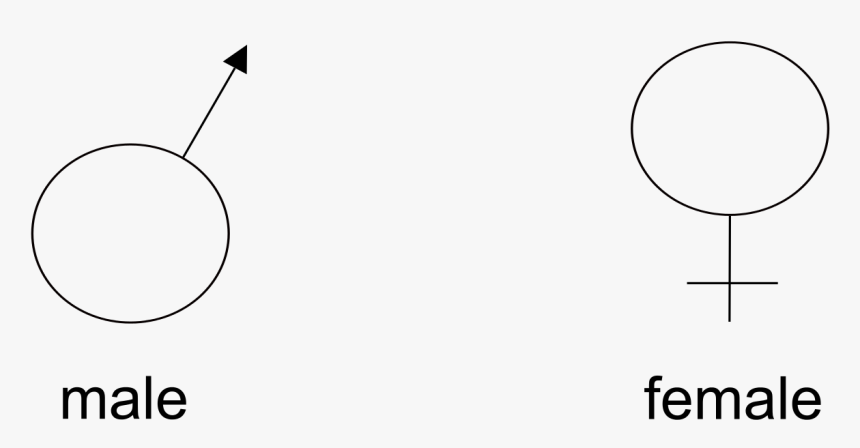 File Gender Symbols Svg Sus - Circle, HD Png Download , Transparent Png ...