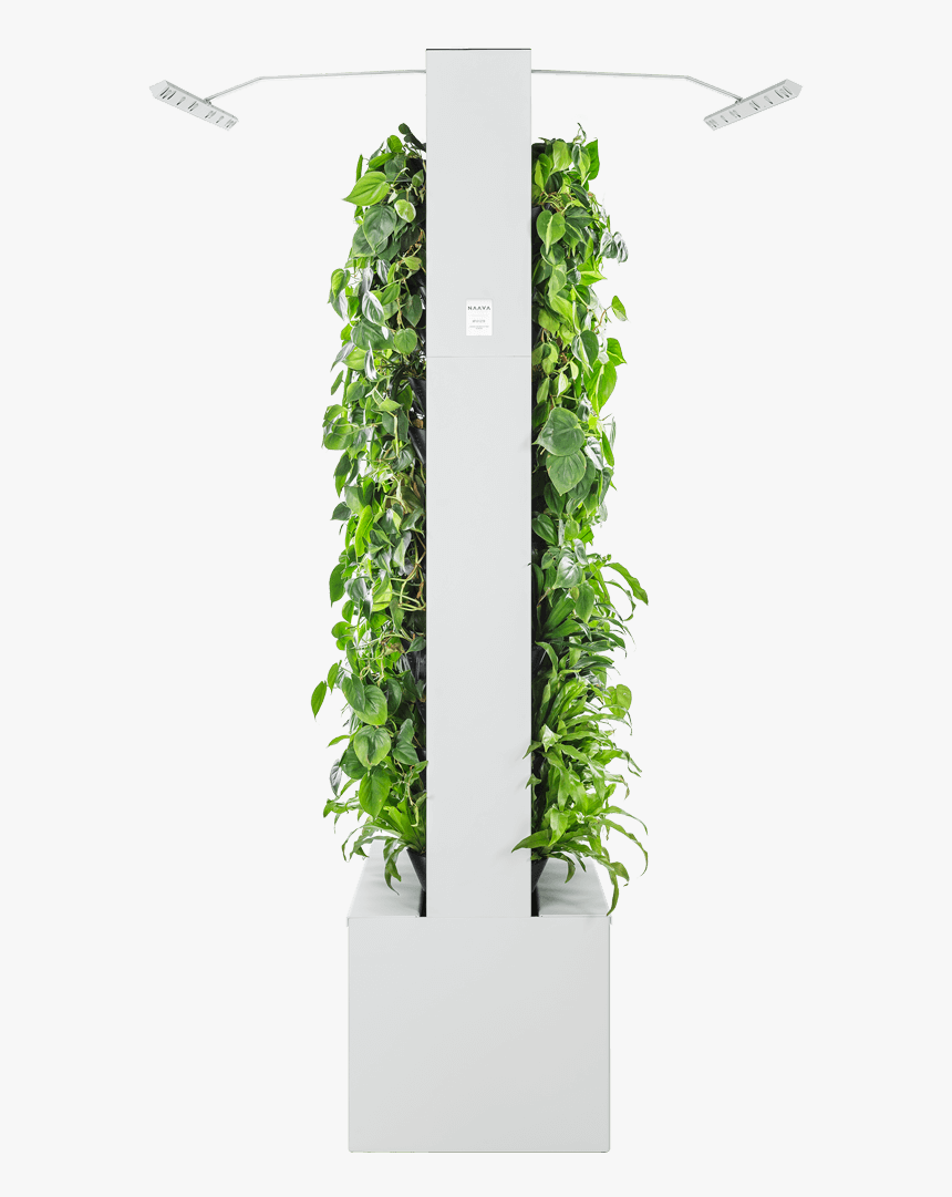 Soil Based Panel System Green Wall, HD Png Download , Transparent Png ...