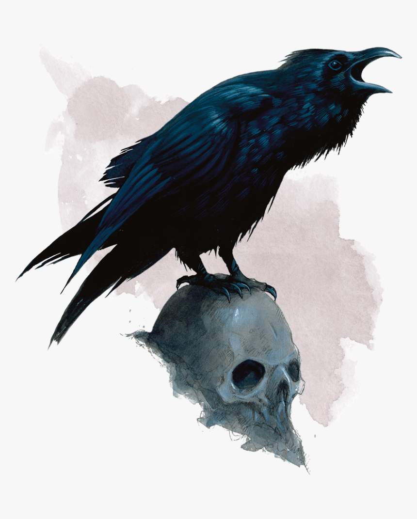 Evil Raven Drawing