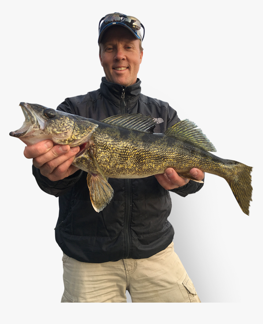 Transparent Man Fishing Png - Gammon Fish, Png Download , Transparent ...