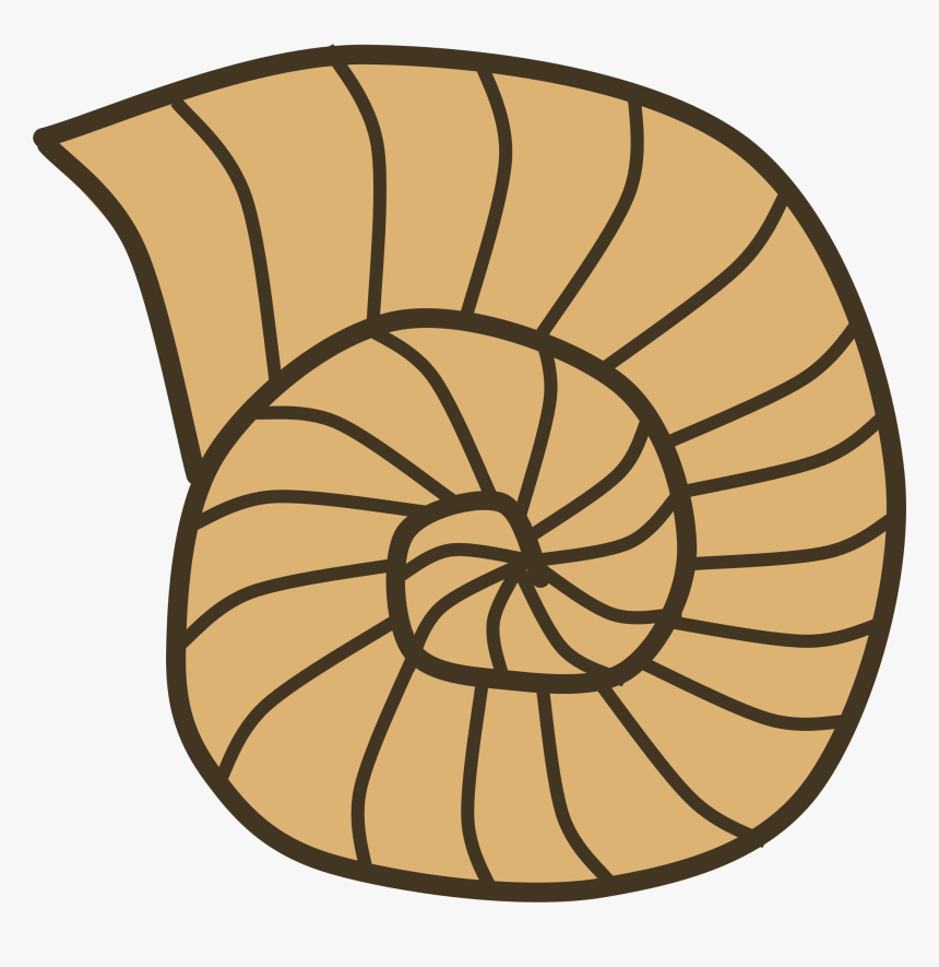Sea Shell Clipart - Transparent Fossil Clipart, HD Png Download ...