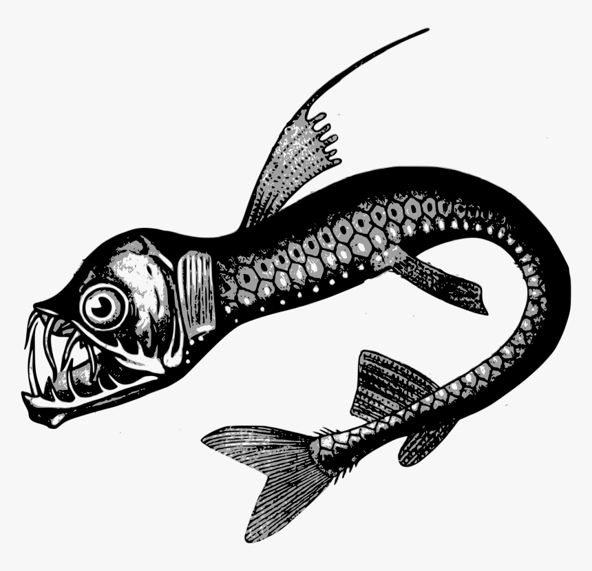 Deep Sea Creatures Drawings, HD Png Download , Transparent Png Image ...
