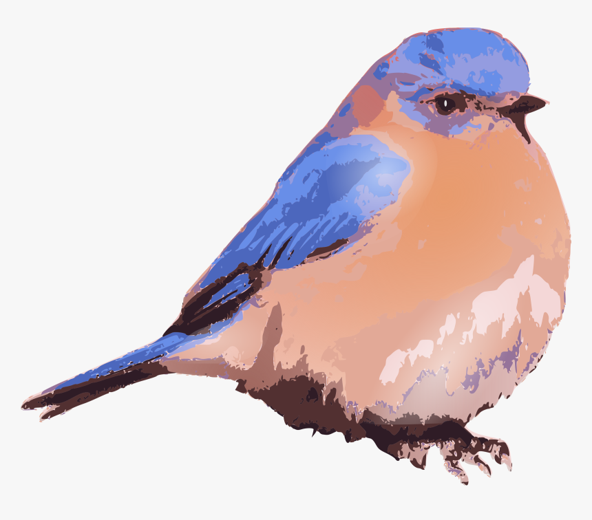 Eastern Bluebird - Clip Art Eastern Bluebird Art, HD Png Download ...