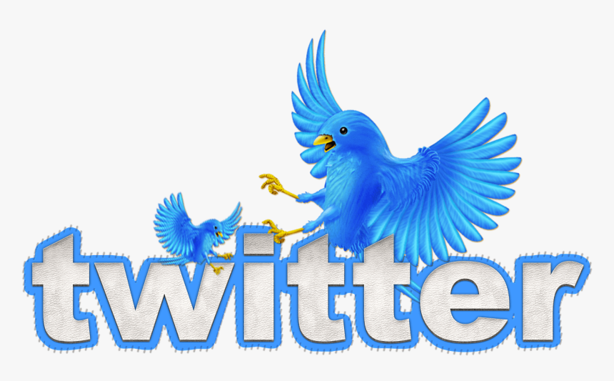 Twitter Bird Animation