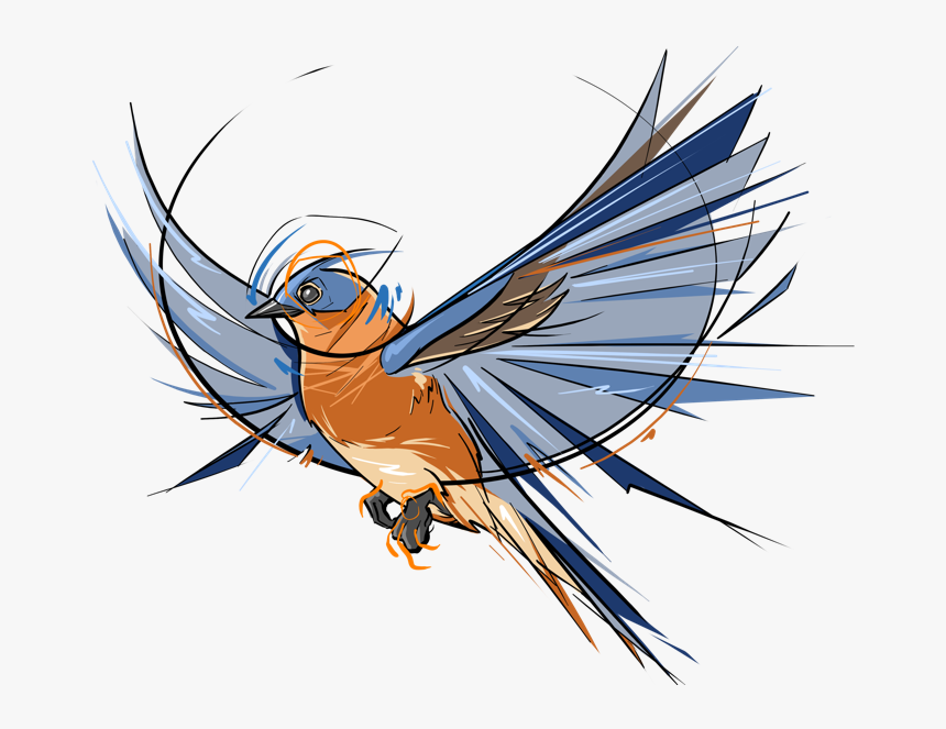 Bluebird Drawing Blue Bird Bluebird - Cartoon, HD Png Download ...