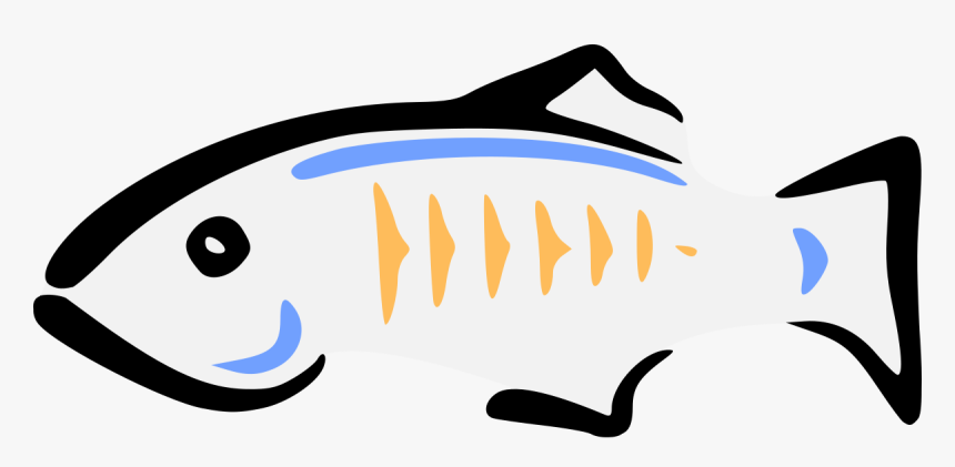Glassfish Java, HD Png Download , Transparent Png Image - PNGitem