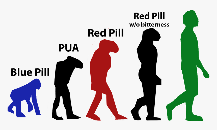 Human Evolution Png, Transparent Png , Transparent Png Image - PNGitem
