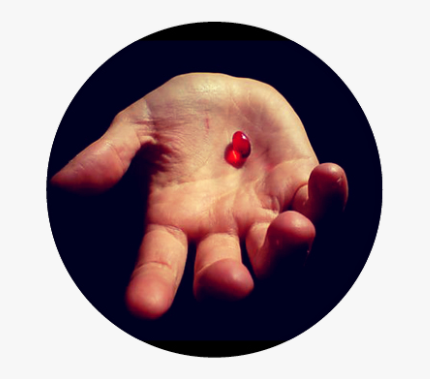 Red Pill, HD Png Download , Transparent Png Image - PNGitem