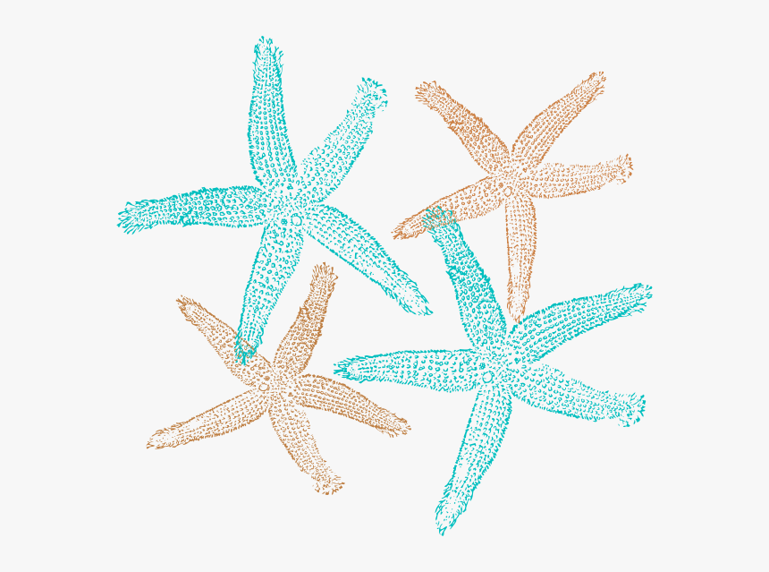 Starfish Prints Svg Clip Arts - Shell Starfish Clip Art, HD Png ...