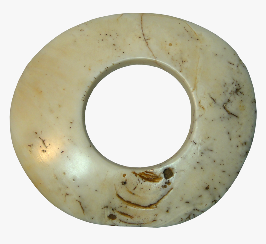 Clam Shell Png, Transparent Png , Transparent Png Image - PNGitem