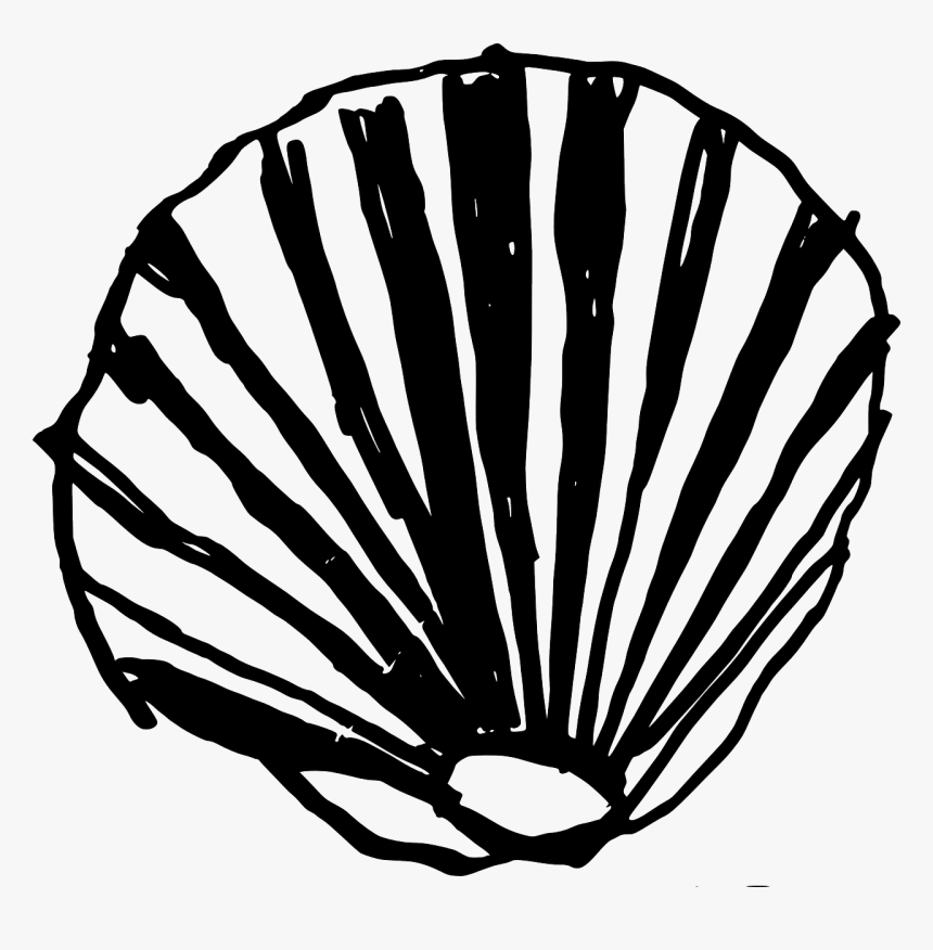 Clam Shell Png, Transparent Png , Transparent Png Image - PNGitem